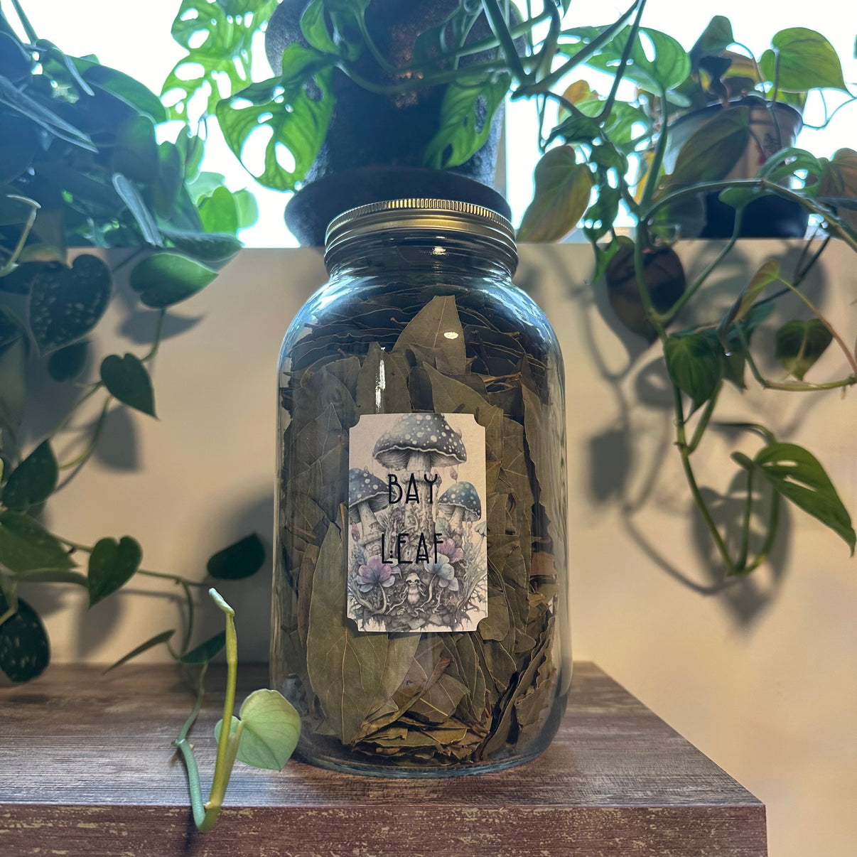 Bay Leaf – Twisted Twigs Earthen Goods