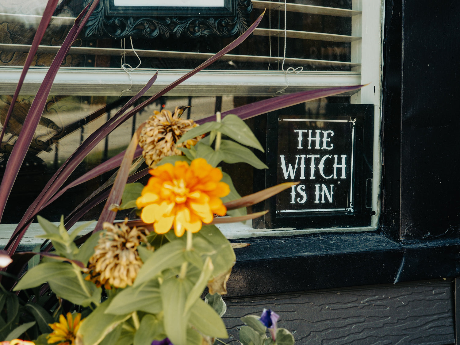 Twisted Twigs Earthen Goods