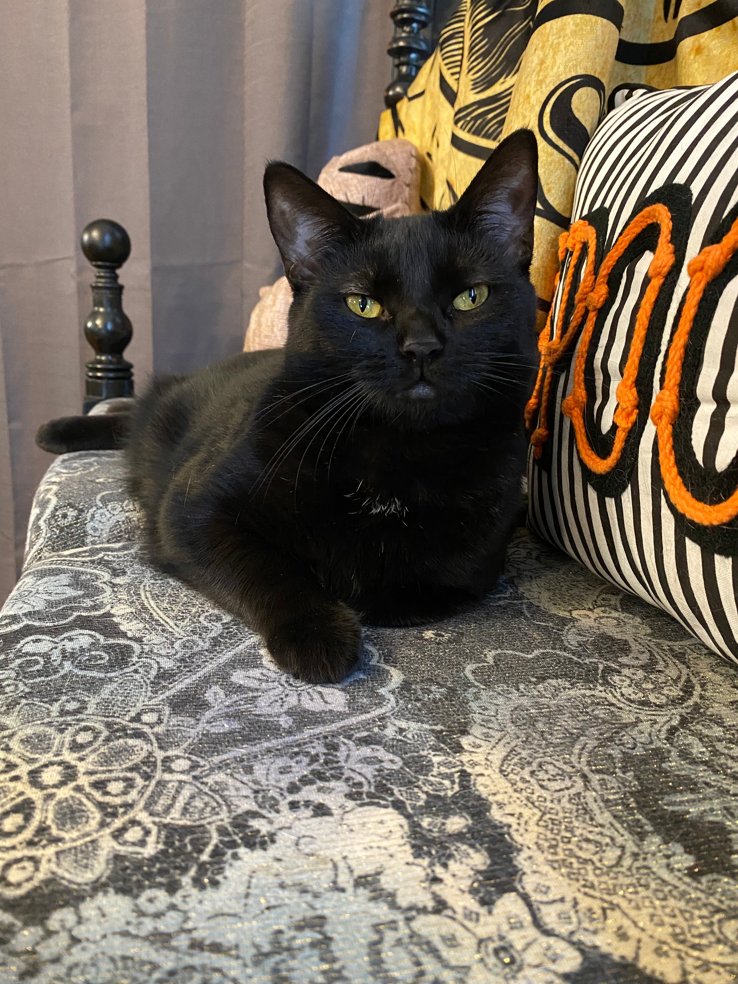 Twisted Twigs Earthen Goods